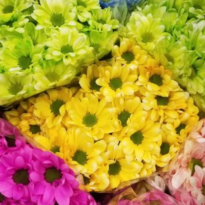 All products | Pacific Coast Floral