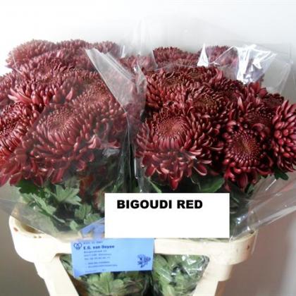 Featured items | Pacific Coast Floral