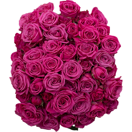 All products | Page 6 | Pacific Coast Floral